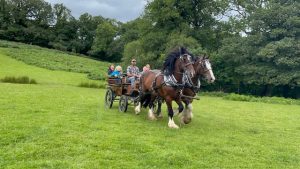Devonshire Carriages
